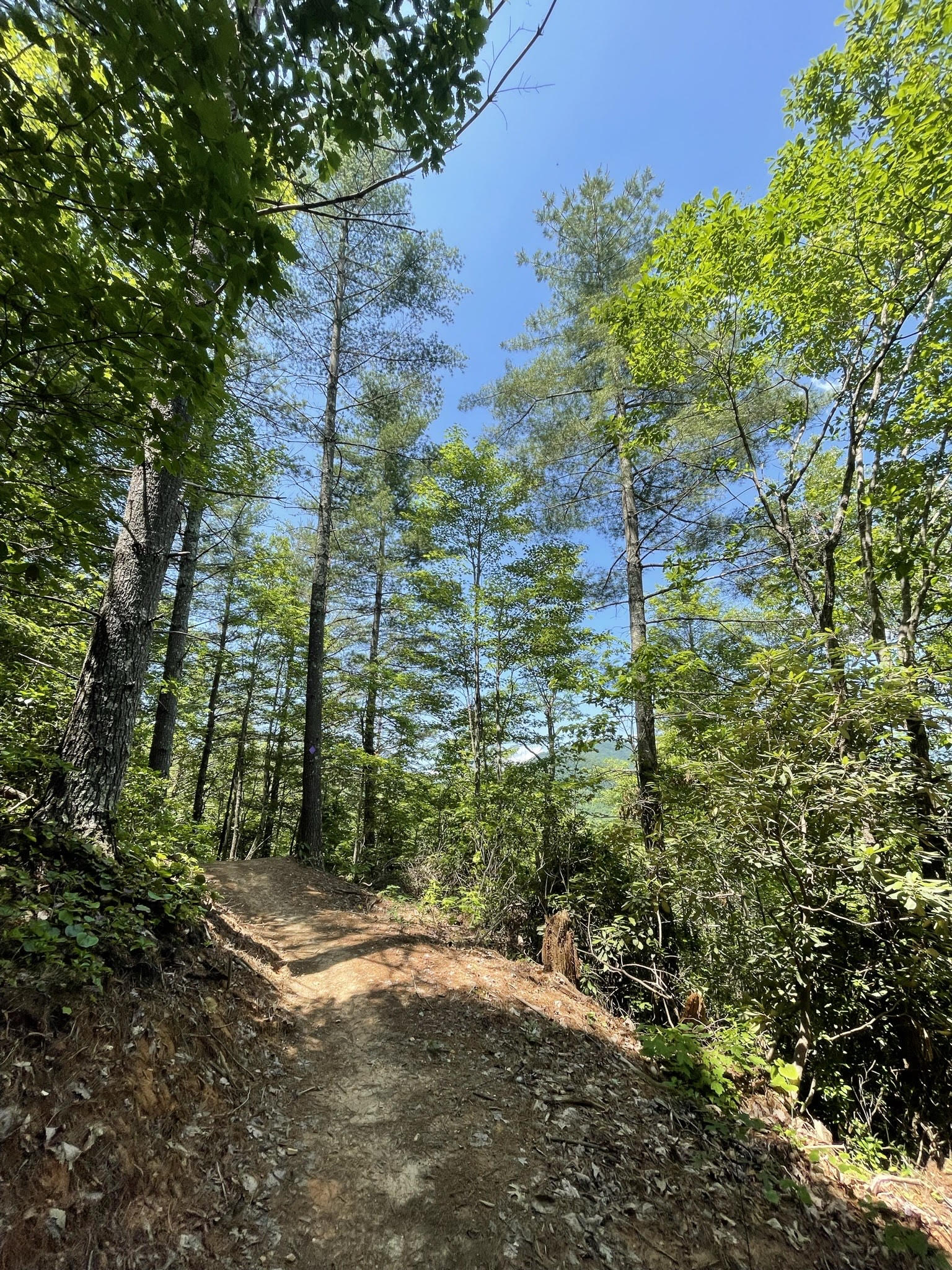 Home - Chasing Trail Ultras